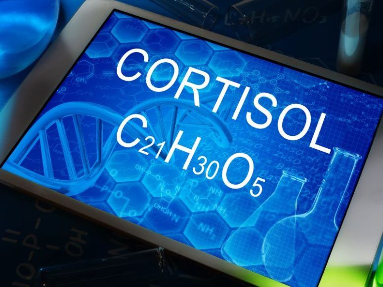 Are Your Cortisol Levels High? 5 Key Signs to Watch For